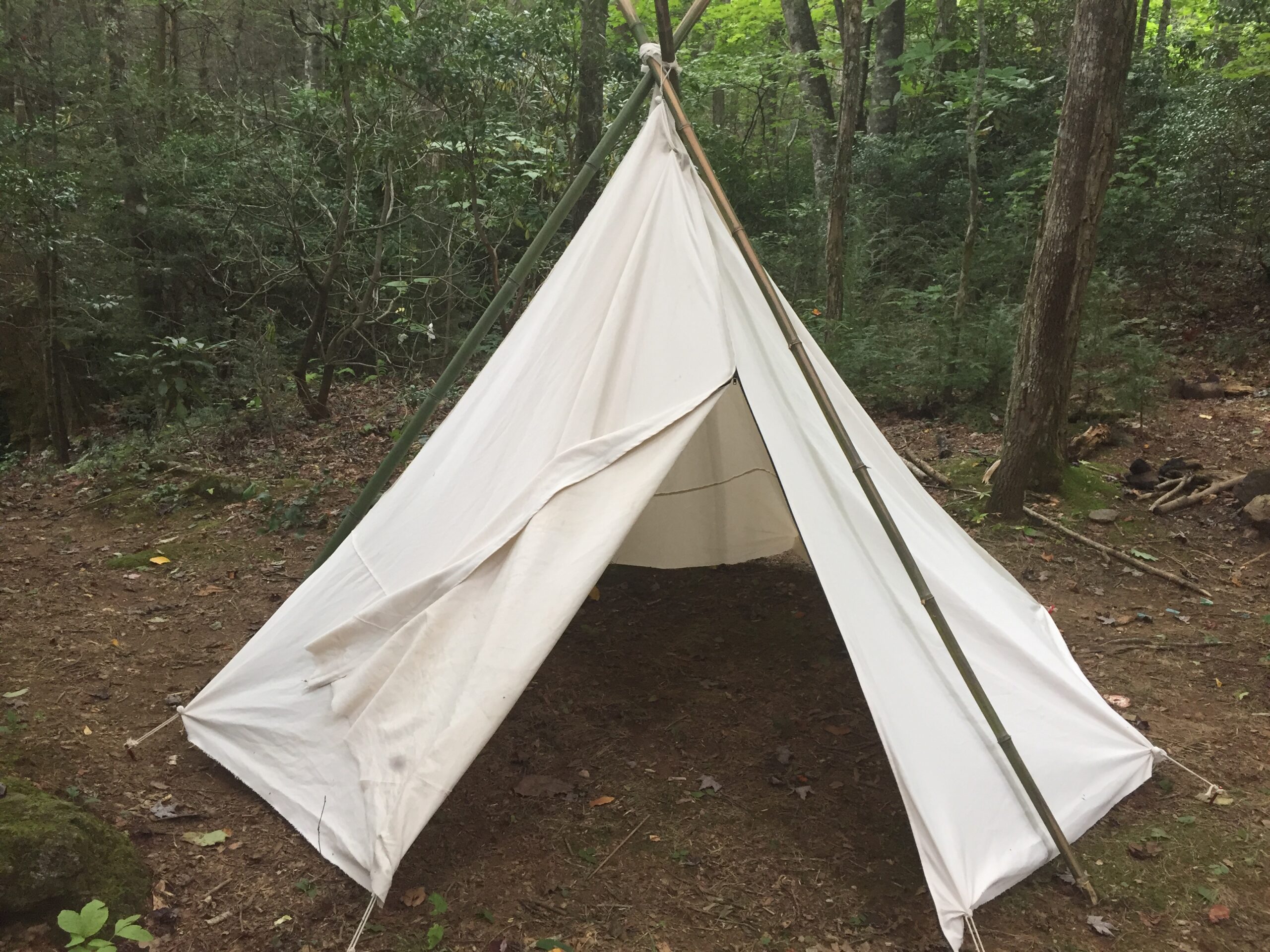 Organic Non Toxic Tent - Lucky Sheep